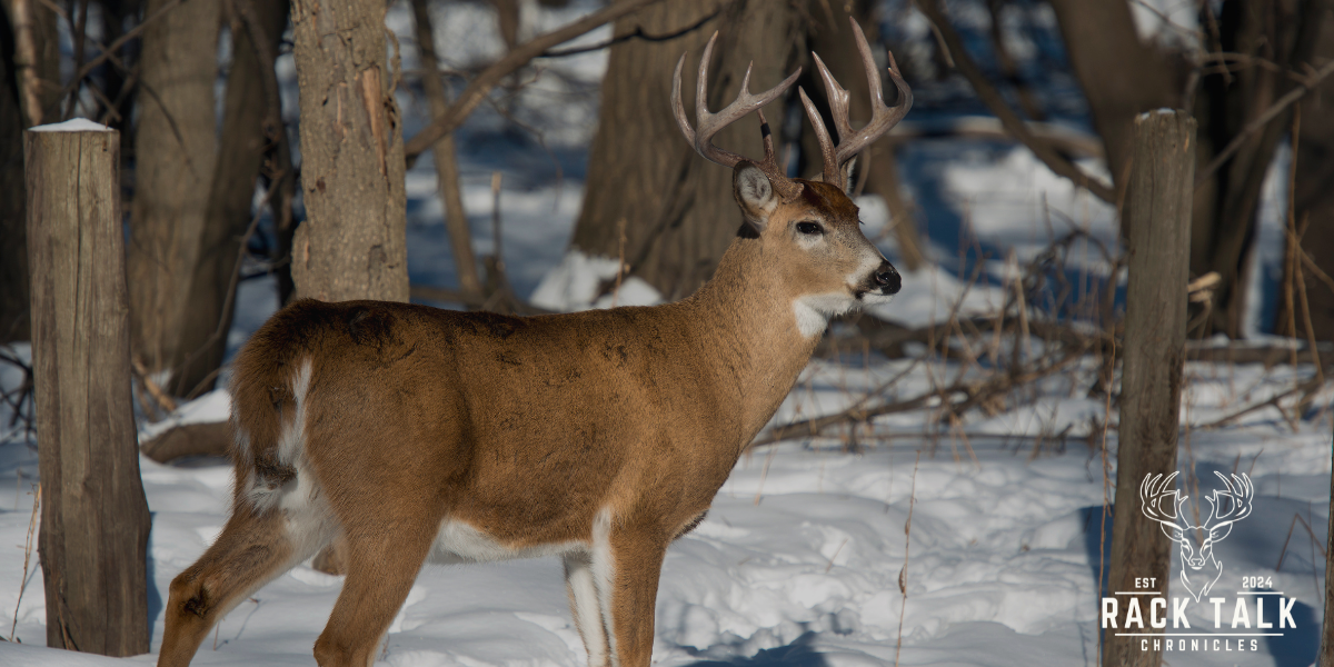Why Fox Cartridge 6.5CM 130gr Triad is the Perfect Hunting Round - Rack ...